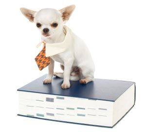 A Dog’s Dictionary – The Dogington Post