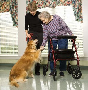 Hospital Patients Allowed Visits From Their Own Dog – The Dogington Post