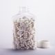Over-the-Counter Medications That Are Safe for Dogs (And How Much to ...