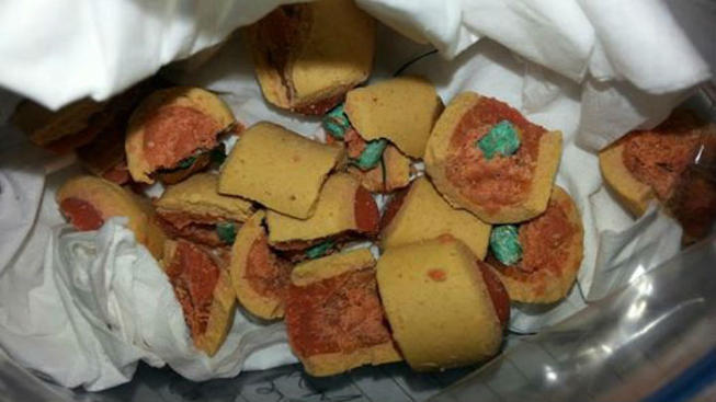 Tainted Dog Treats Tossed into Backyard in Chicago Suburb – The ...