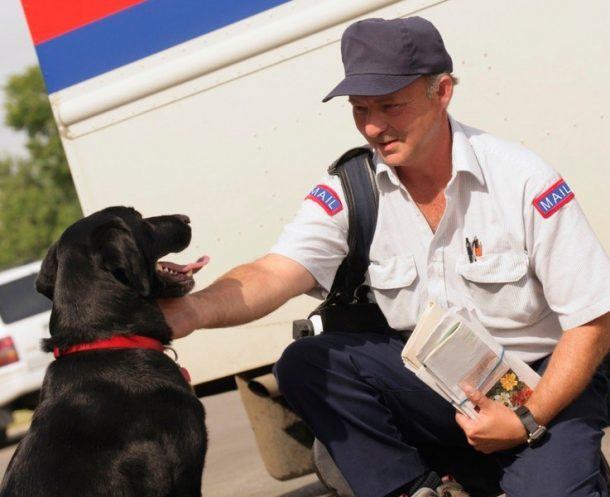 Austrian Postal Workers Give Dog Treats to Avoid Bites – The Dogington Post