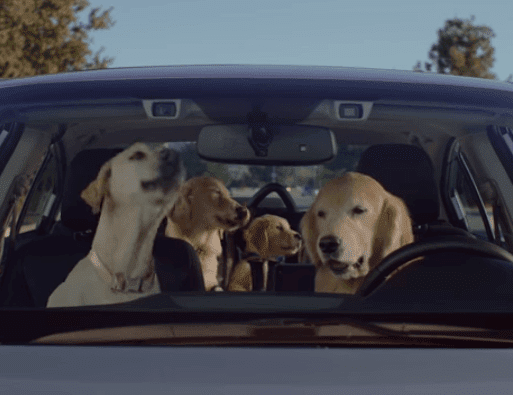 The Barkleys Are Back! See Subaru’s Adorable New ‘Driving Dogs ...