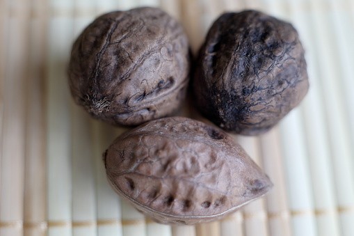 Is Your Dog Nuts About Nuts? Know the Good from the Bad! – The ...