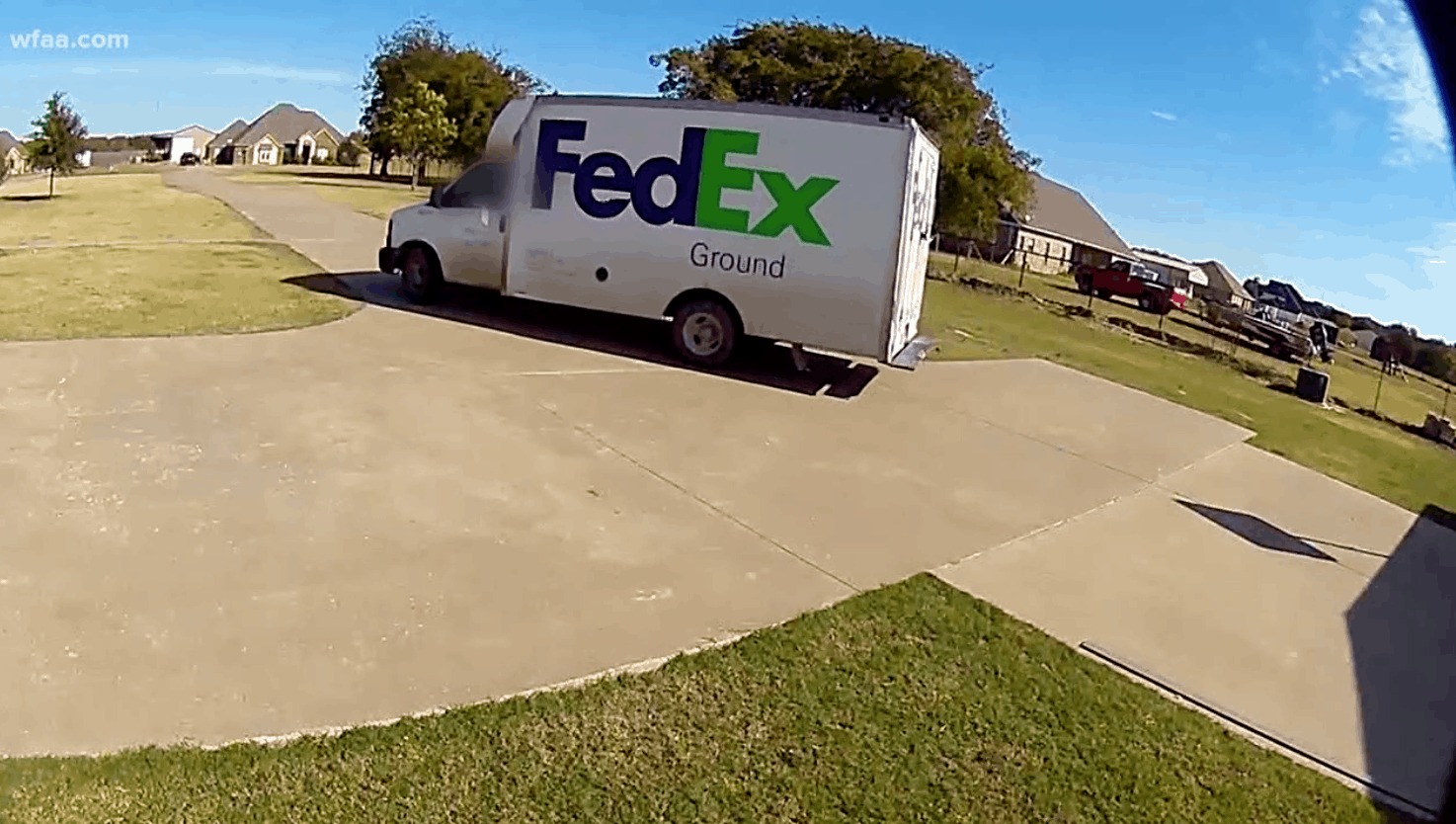 Fedex Ground Truck Dog