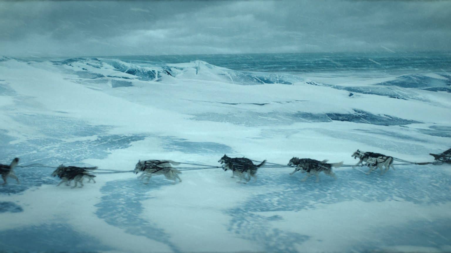 ‘Togo’, the Untold True Story of One Man and His Heroic Sled Dog – The ...