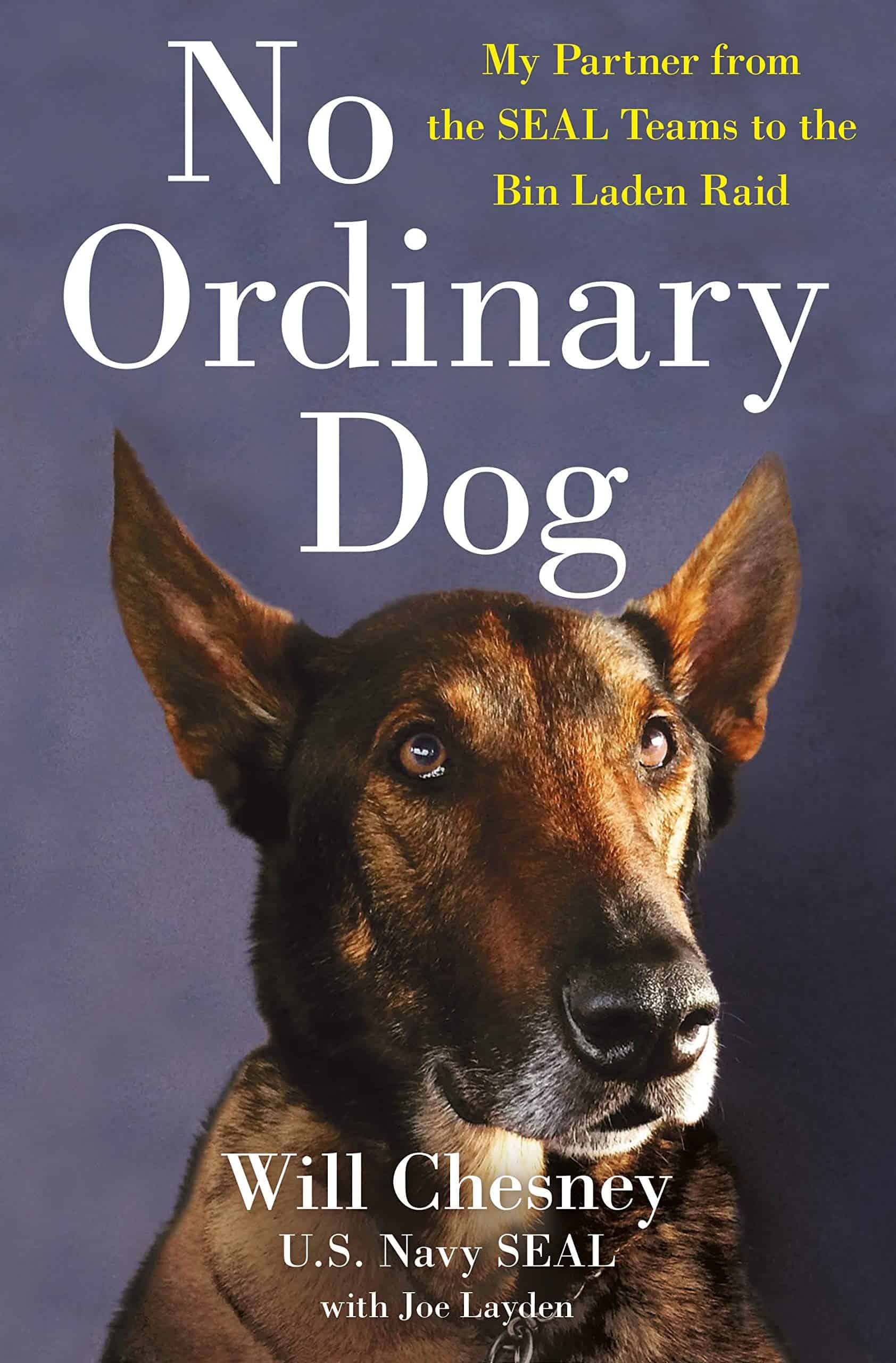 7 Best New Dog Books to Read in 2020 – The Dogington Post