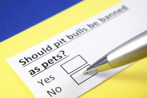 PAWSOME! Denver Voters Approve Measure to End 31-Year Pit Bull Ban ...