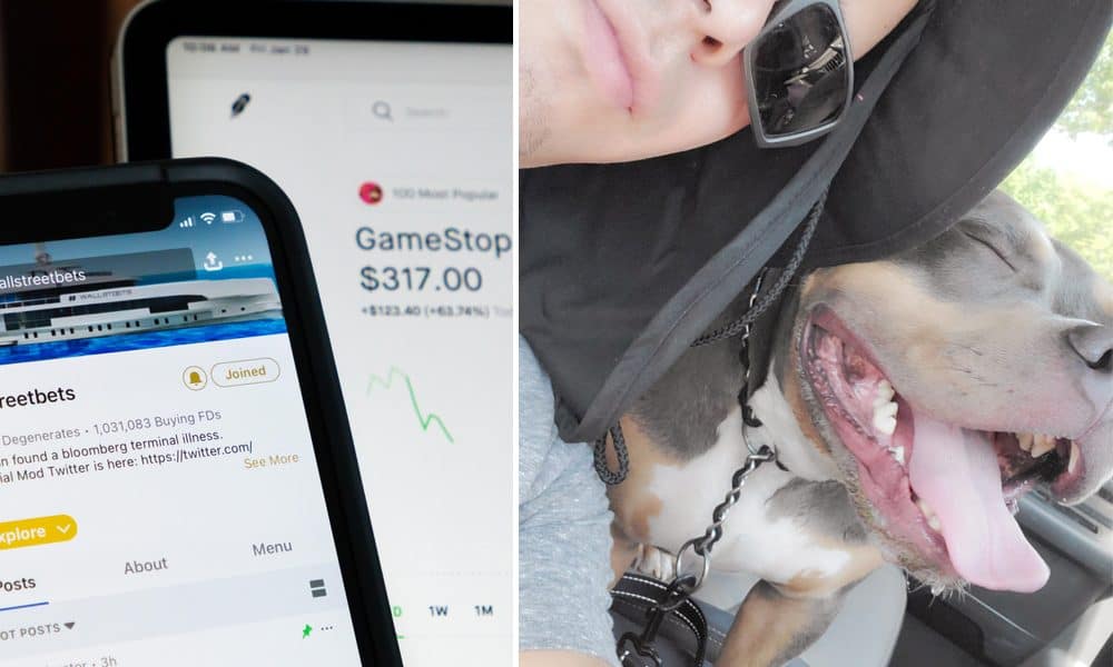 Redditer Uses Profits from GameStop Stock to Save His Dog’s Life – The ...