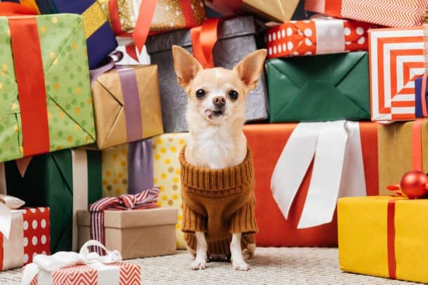 Unique Gifts for the Dog (or Dog Lover) That Has Everything – The ...