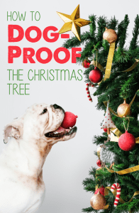 How to Dog-Proof the Christmas Tree – The Dogington Post