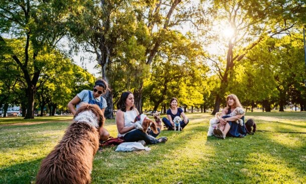 People With Dogs Are Happier Than Non-Dog Owners, Study Shows – The ...