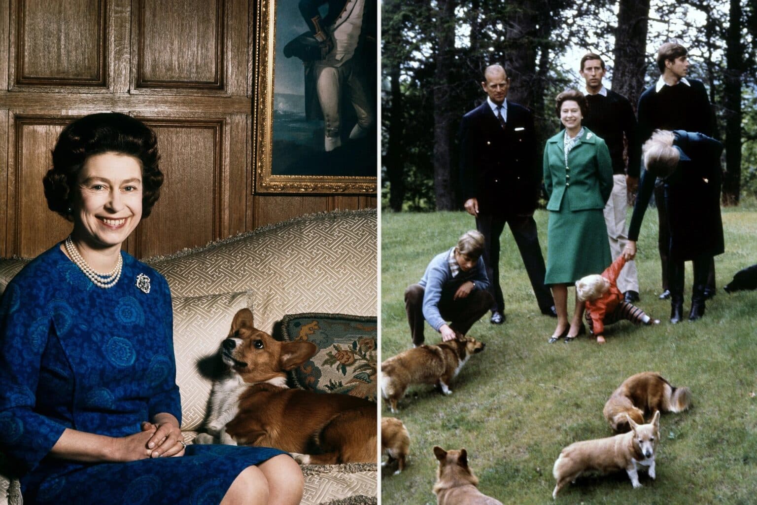 Queen Elizabeth Wrote “Wickedly Funny” To Her Staff’s Dogs From Her ...