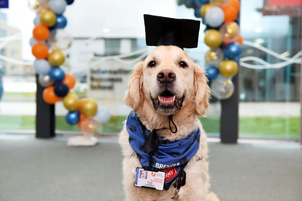 Teesside University Therapy Dog Receives Honorary 'Dogtorate'