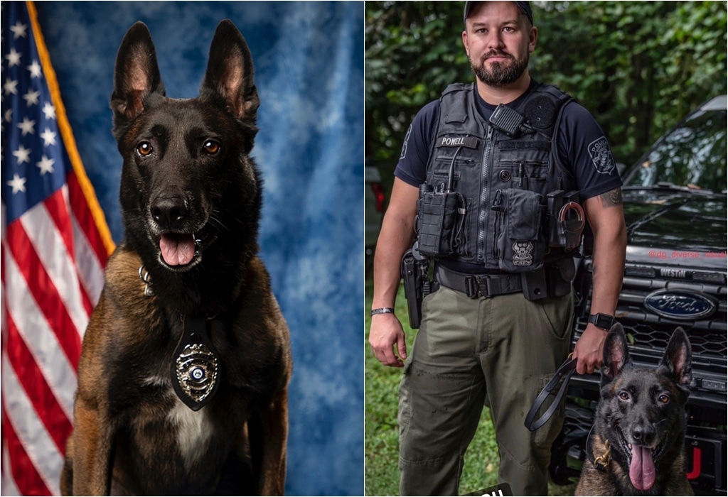 Georgia K-9 Retires After 7 Years of Service - The Dogington Post