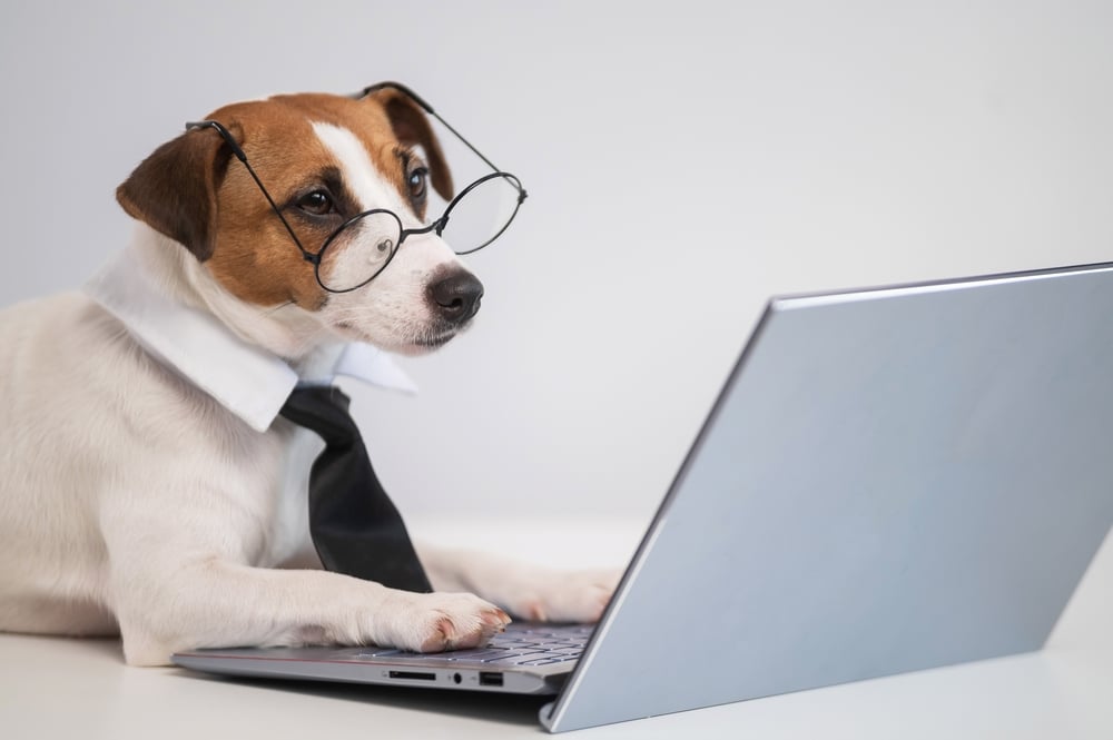 Weekly Roundup: Funny Dog Posts From Last Week (Mar 20)