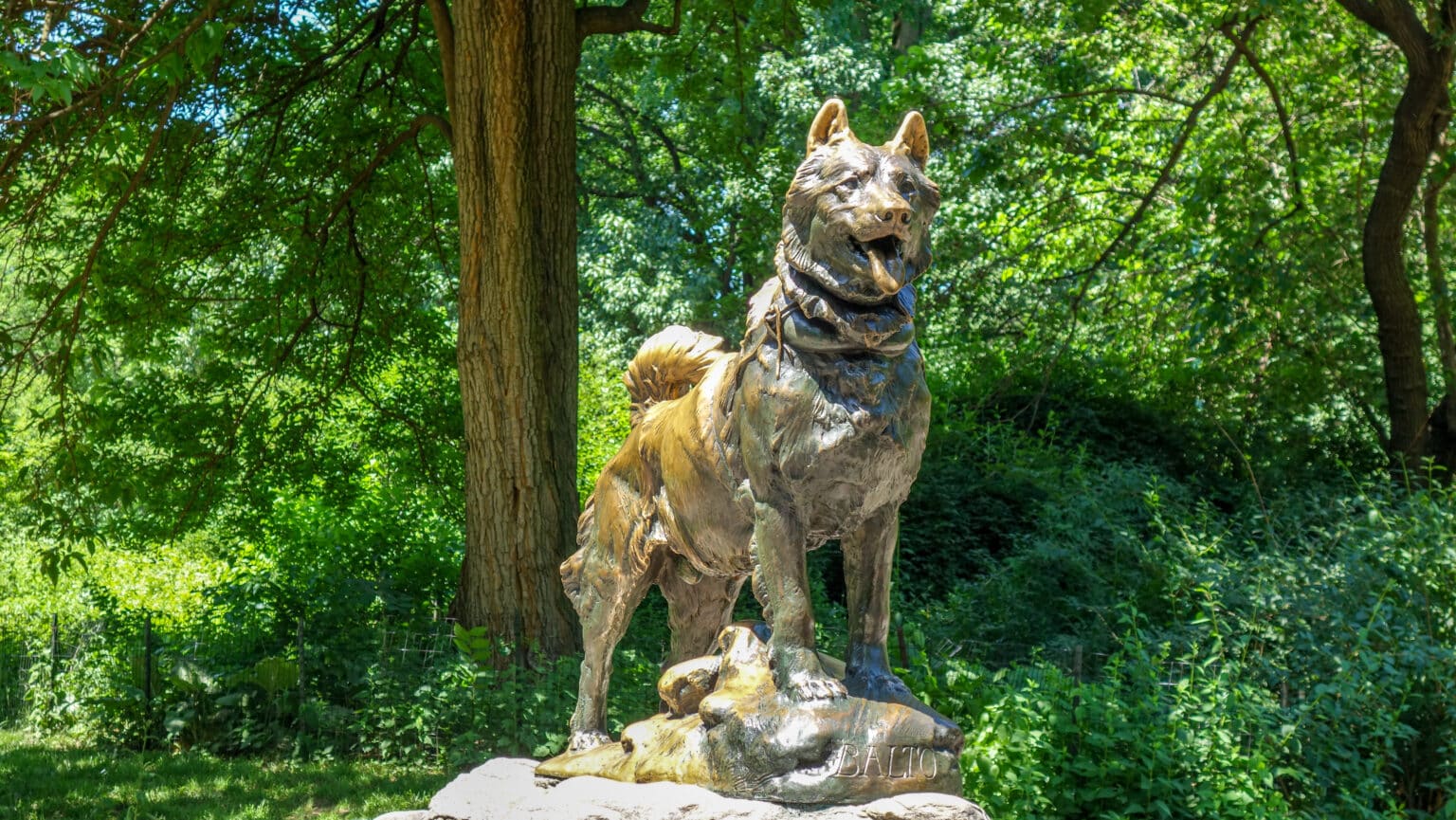 New Study Found What Made Balto The Sled Dog So Tough – The Dogington Post