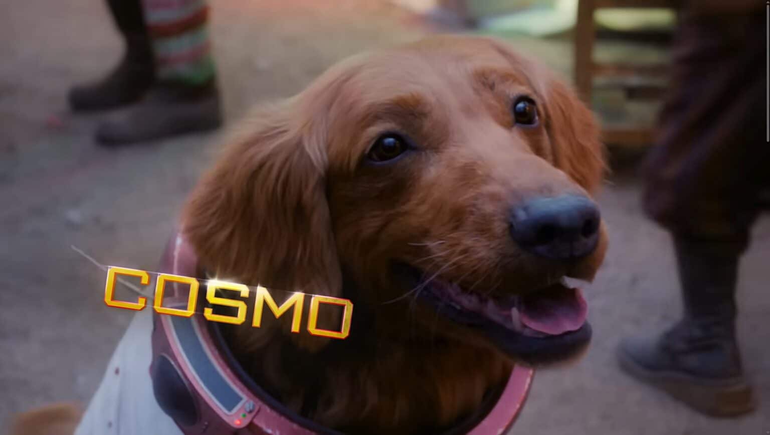 Guardians Of The Galaxy Vol. 3’s Cosmo Is Based On Laika, A Female ...