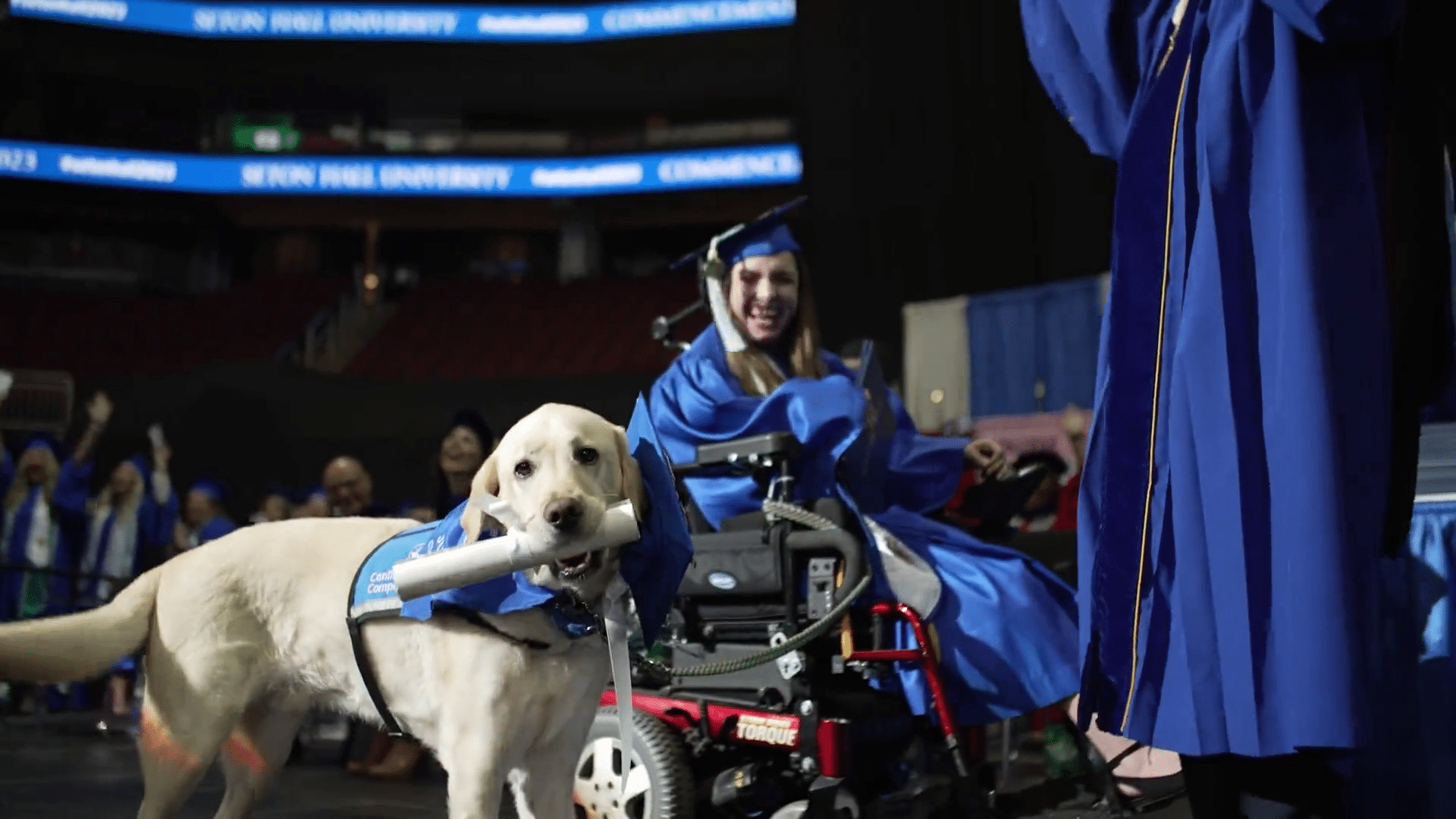 Service Dog "Graduates" And Gets His Own Diploma After Accompanying ...
