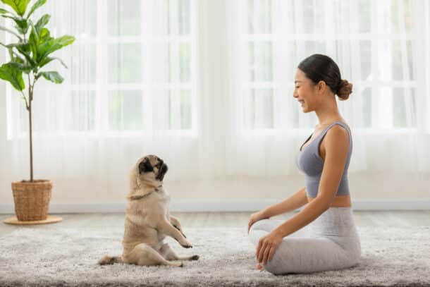 Doga 101: A Beginner’s Guide To Dog Yoga – The Dogington Post