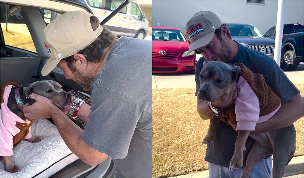 Dave Portnoy's Rescue Dog Goes Viral, Uses Platform To Raise Money For ...