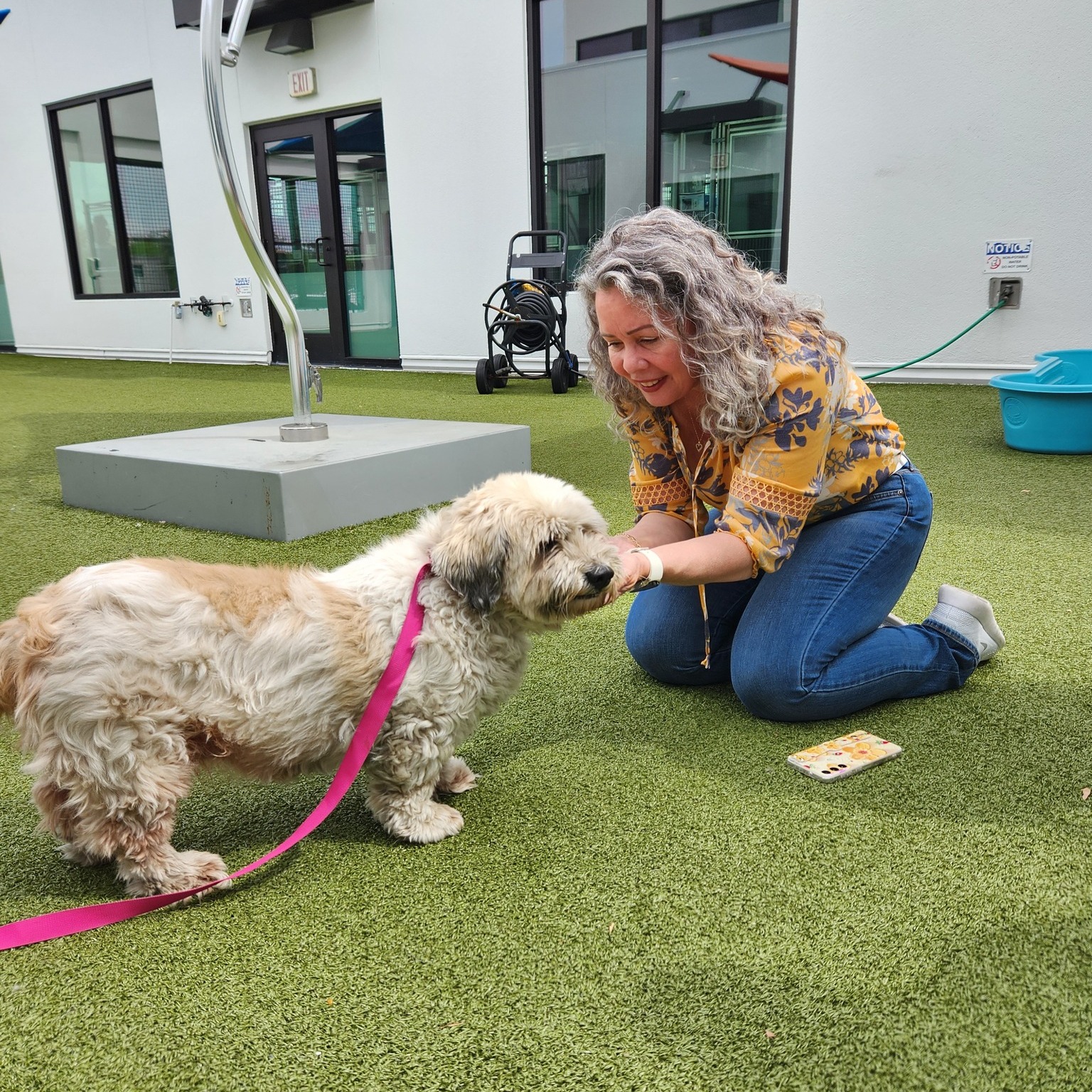 Owner Who 'Never Lost Hope' Reunites With Dog Who Went Missing For 10 Years