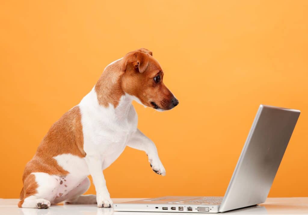 Weekly Roundup: Funny Dog Posts From Last Week (Mar 25) - The Dogington ...