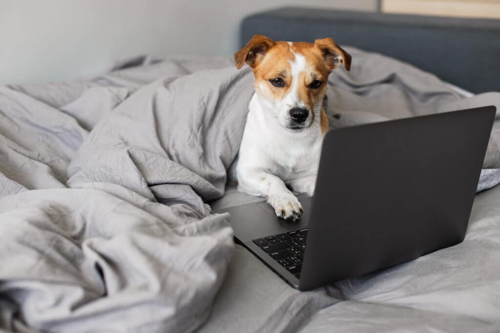 Weekly Roundup: Funny Dog Posts From Last Week (Apr 22)