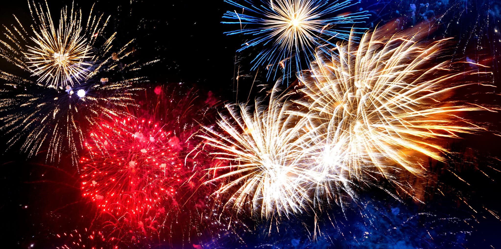 Pawsitively Fun Celebrations: Dog-Friendly Alternatives To Fireworks ...