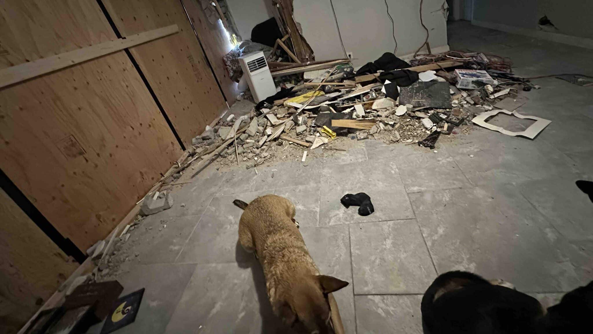Video Captures As Car Crashes Into The Home Of A Couple With Three Dogs ...