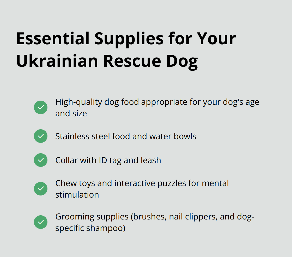 How to Adopt Dogs from Ukraine: A Comprehensive Guide – The Dogington Post
