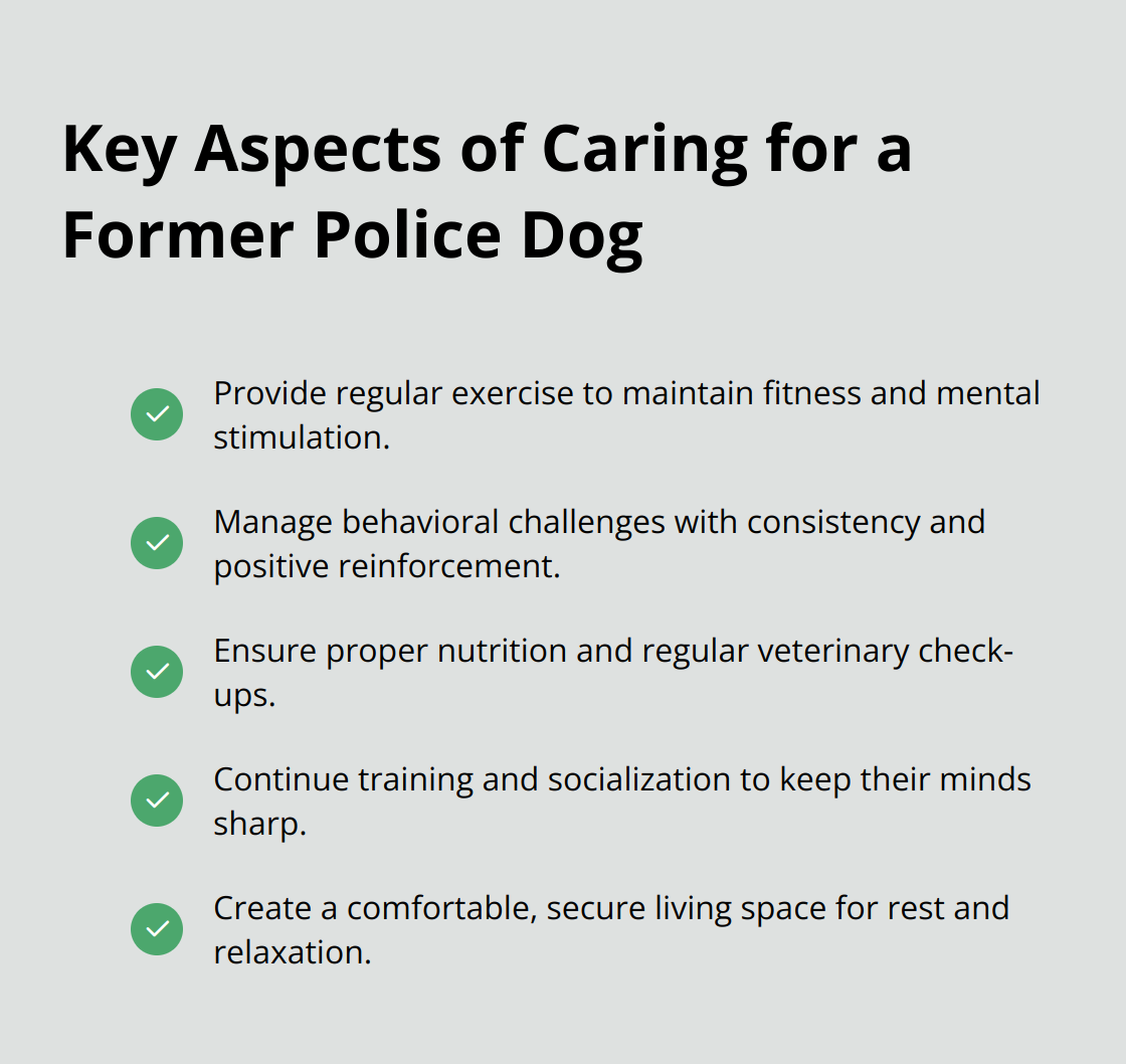 How to Adopt Former Police Dogs – The Dogington Post