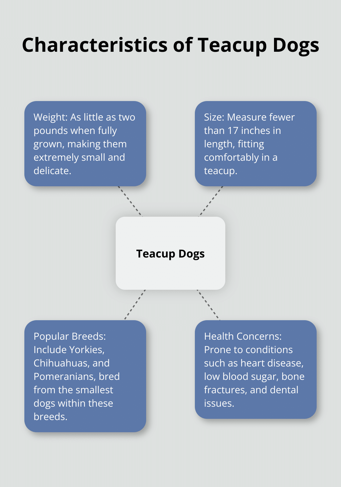 How to Adopt Teacup Dogs: A Comprehensive Guide – The Dogington Post