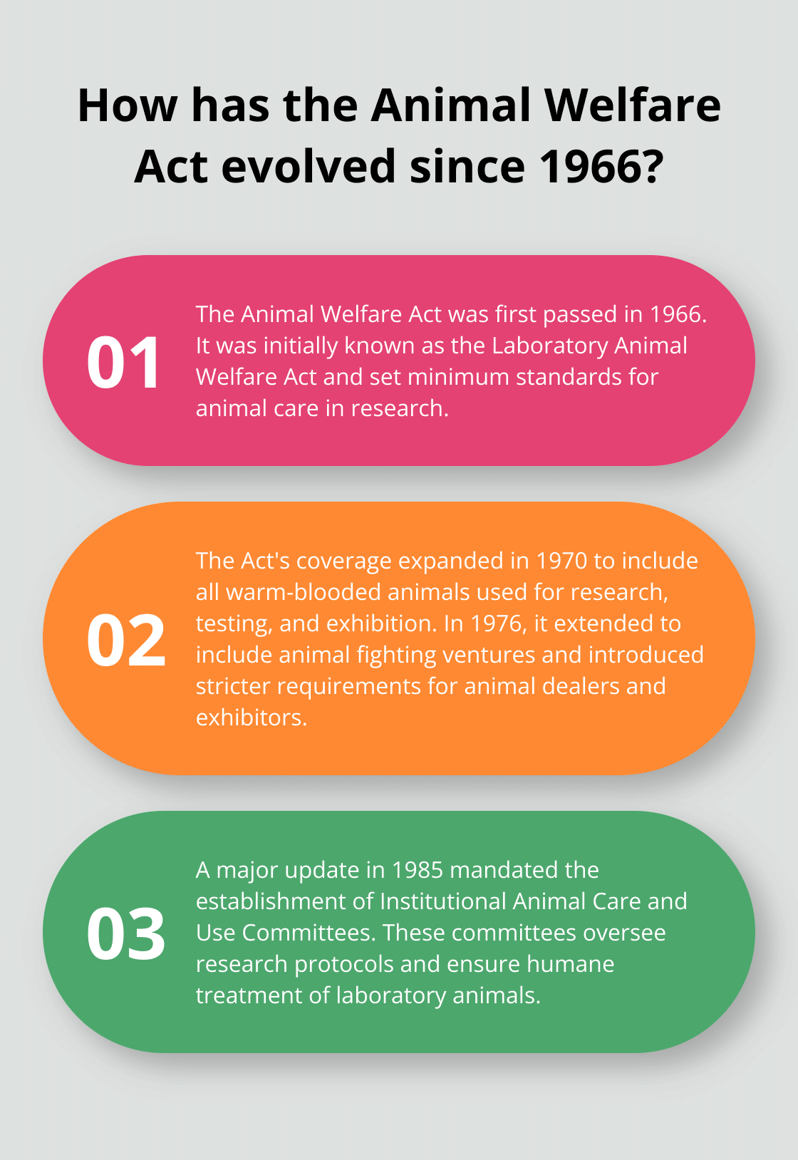 What Is the Animal Welfare Act? – The Dogington Post
