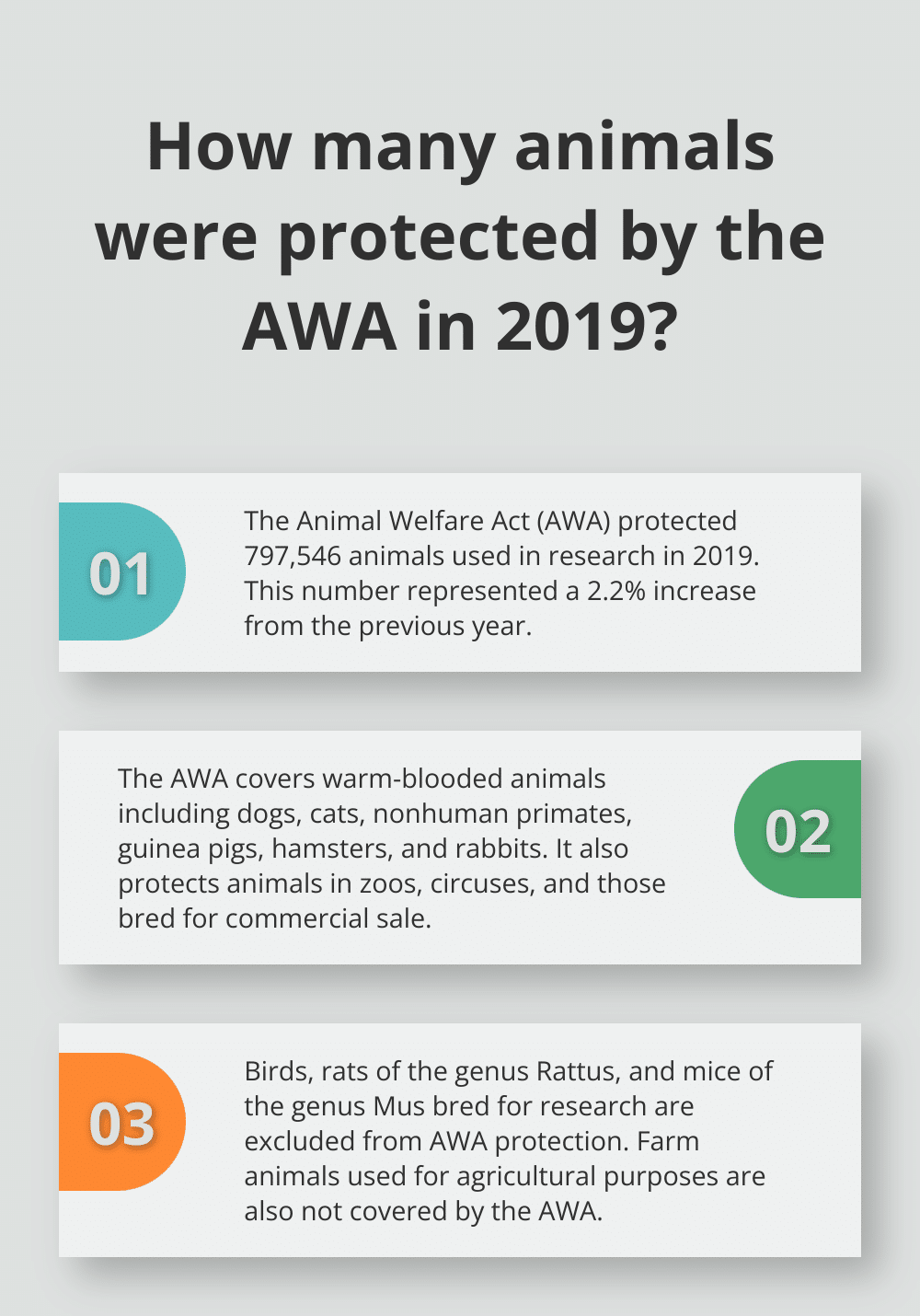 What Is the Animal Welfare Act? – The Dogington Post