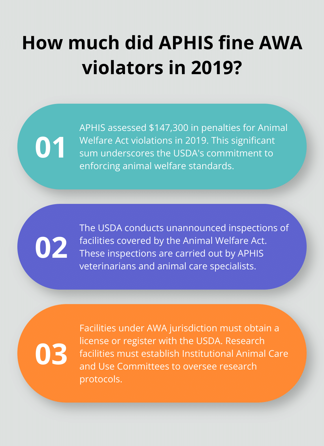 What Is the Animal Welfare Act? – The Dogington Post