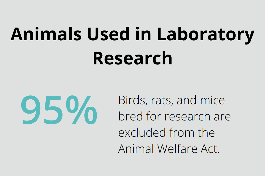 How to Understand the Animal Welfare Act of 1966 – The Dogington Post