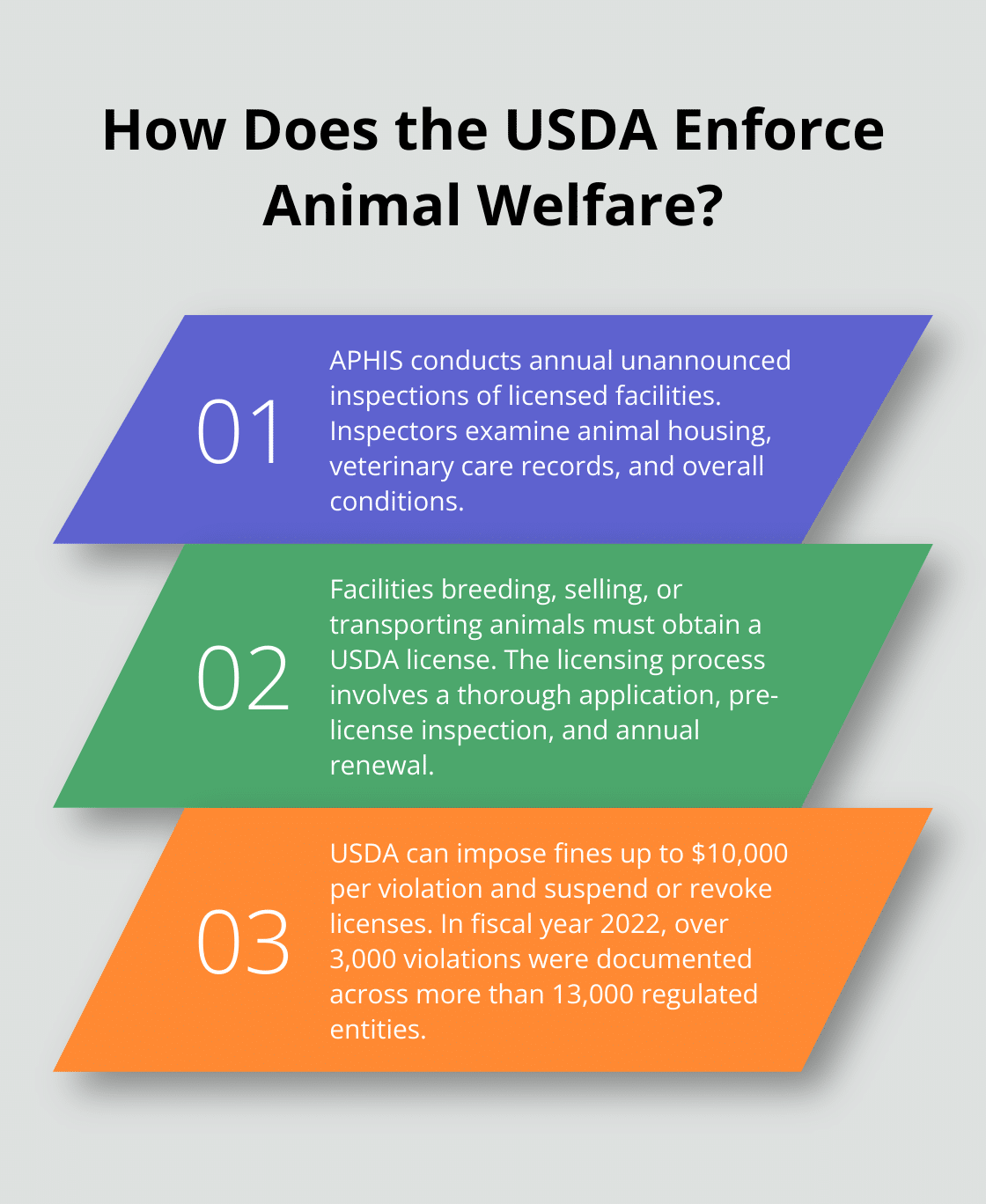 Understanding Animal Welfare Act Regulations – The Dogington Post