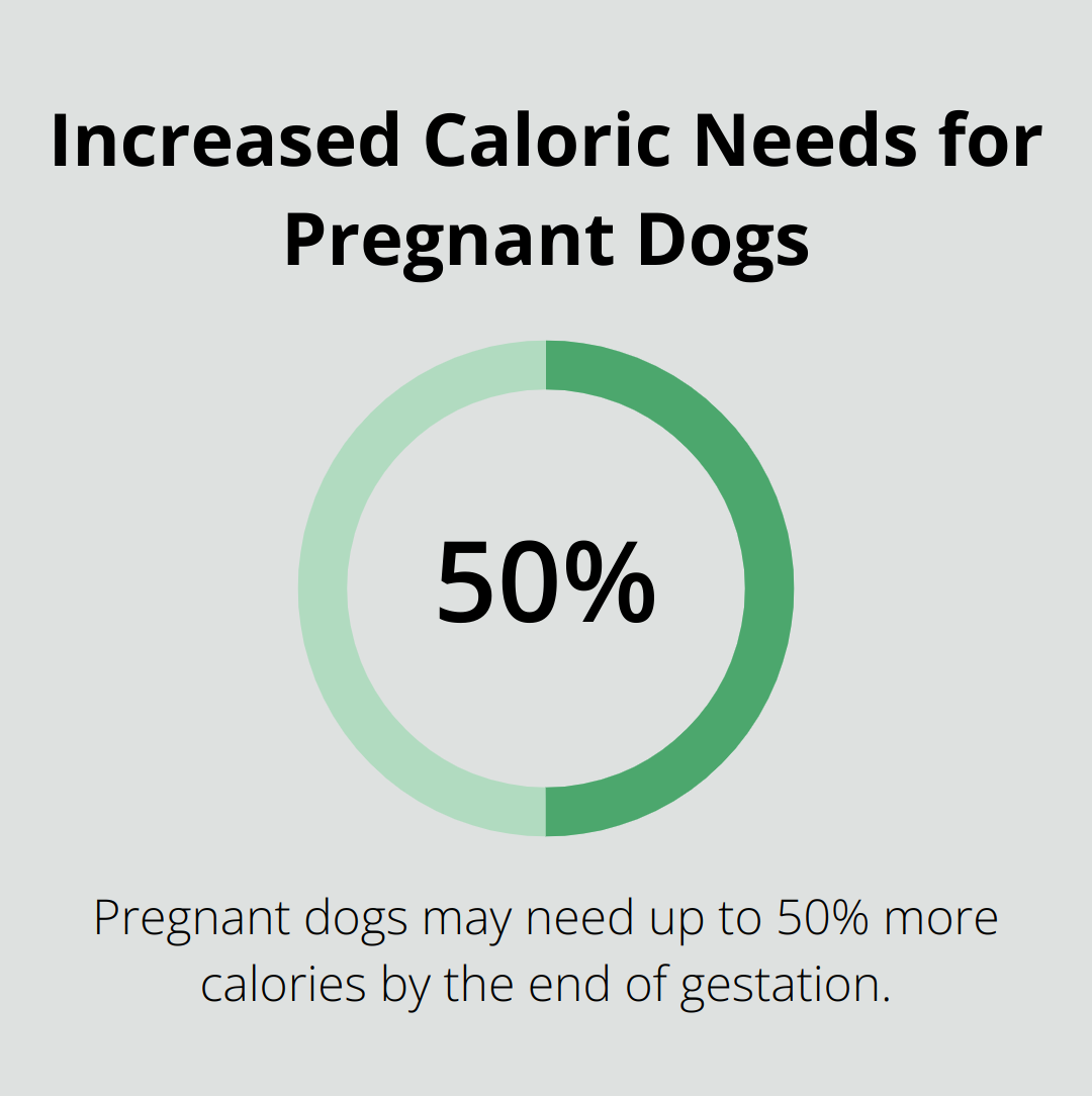 How to Breed Dogs: Essential Tips for Success – The Dogington Post