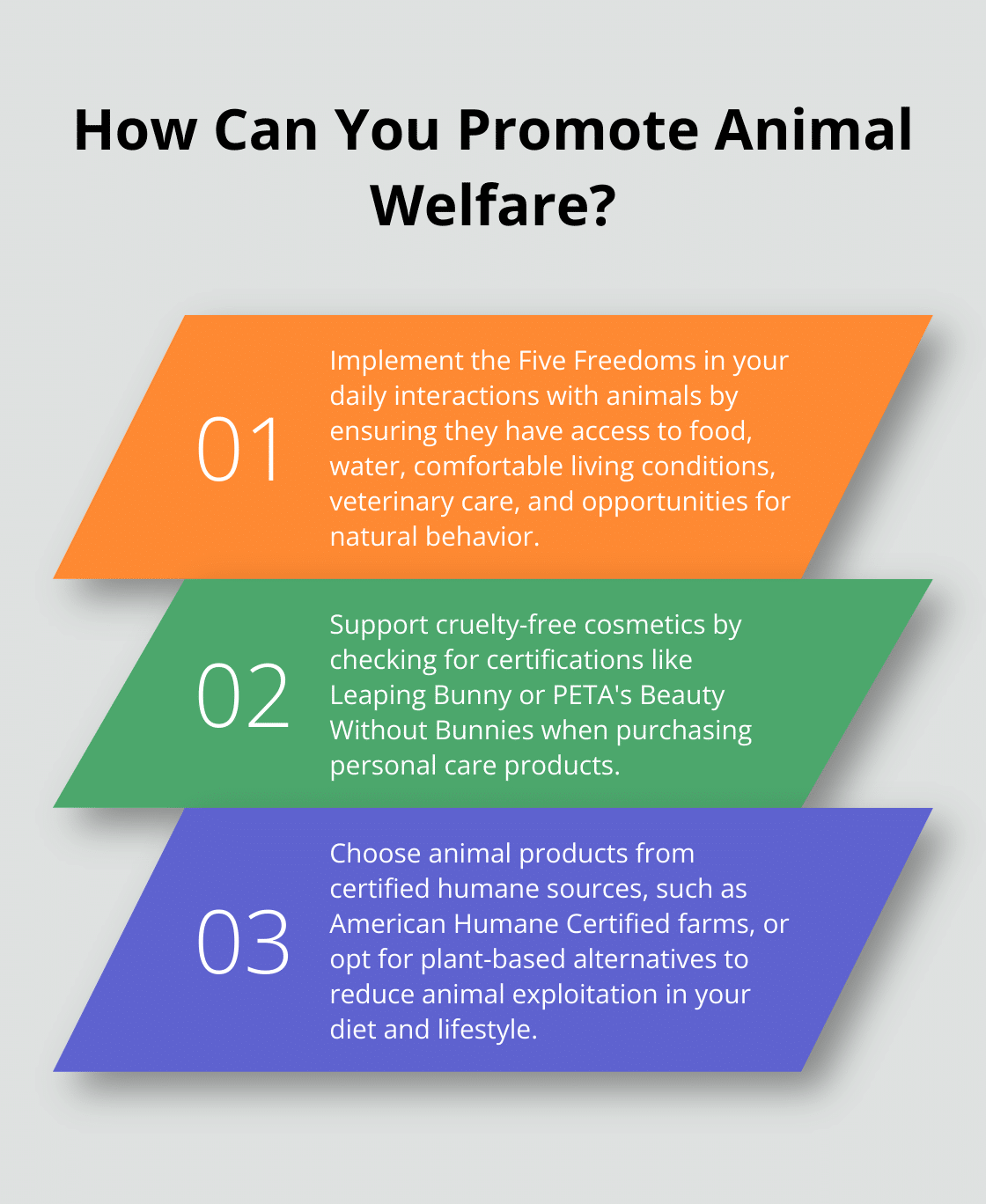 How Do Animal Rights and Animal Welfare Differ? – The Dogington Post