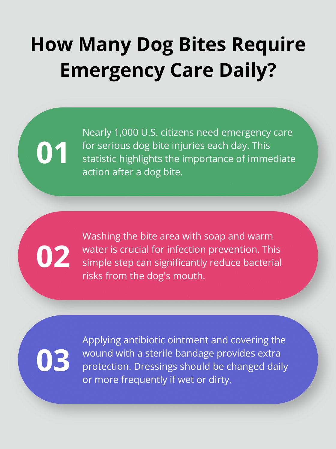 How to Care for a Dog Bite: First Aid and Treatment – The Dogington Post