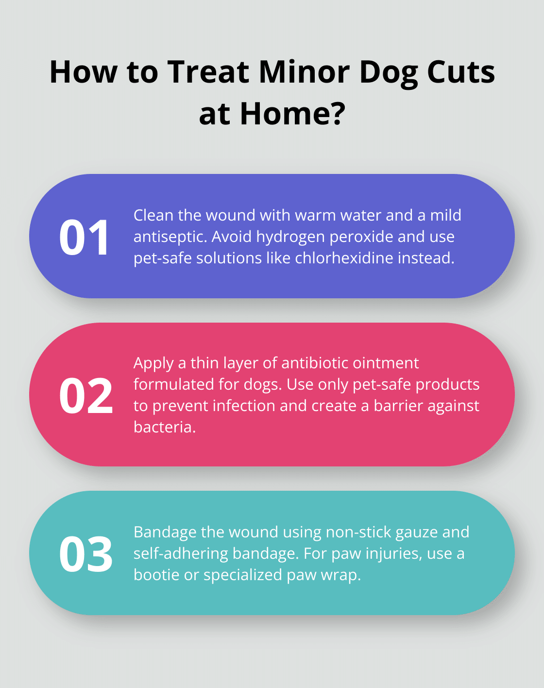 How to Care for Your Dog’s Cut: Essential Tips – The Dogington Post
