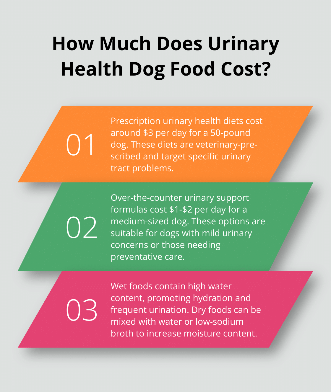 Best Dog Food for Urinary Health: A Comprehensive Guide – The Dogington ...