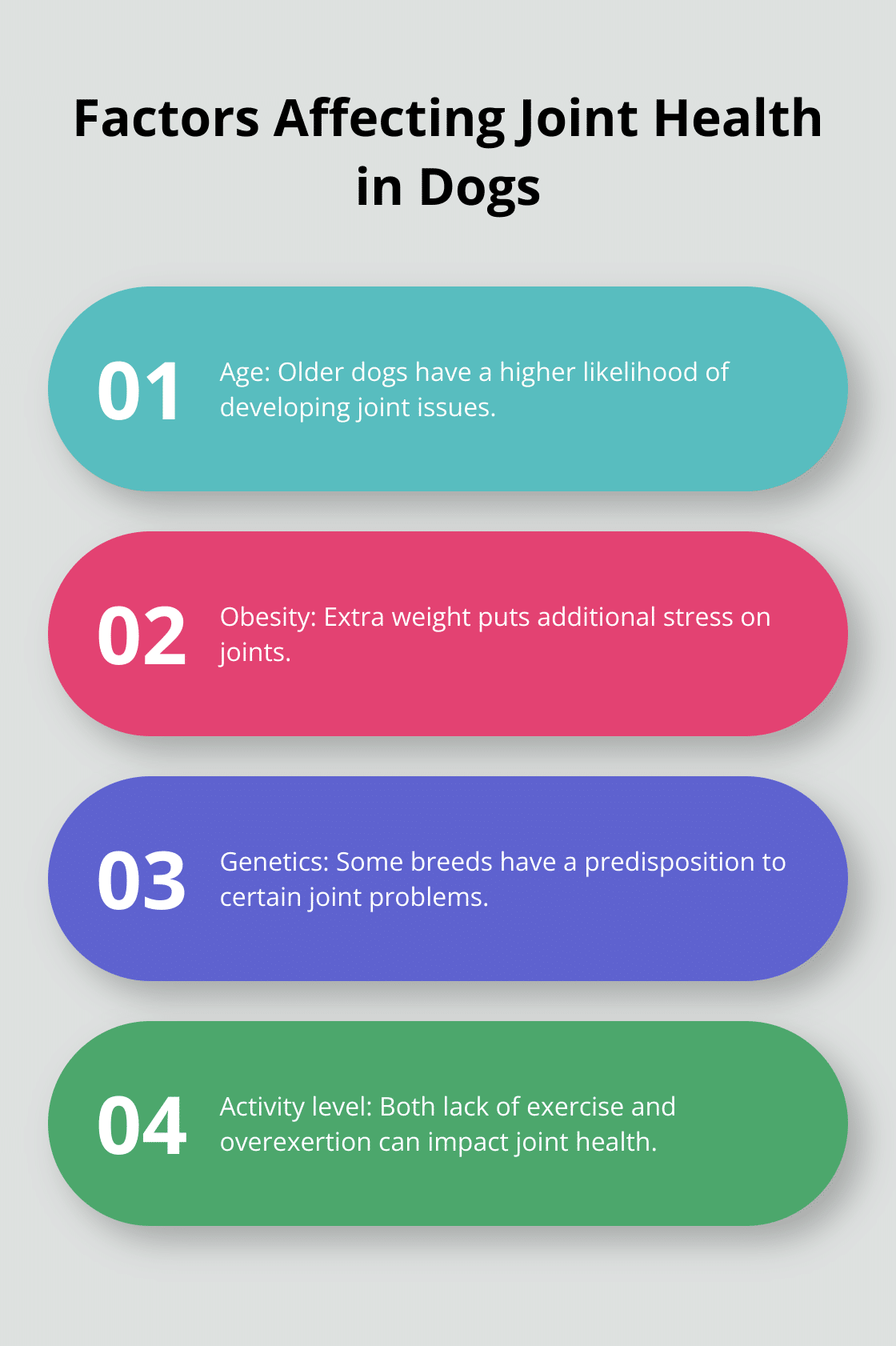 How to Improve Your Dog’s Joint Health – The Dogington Post