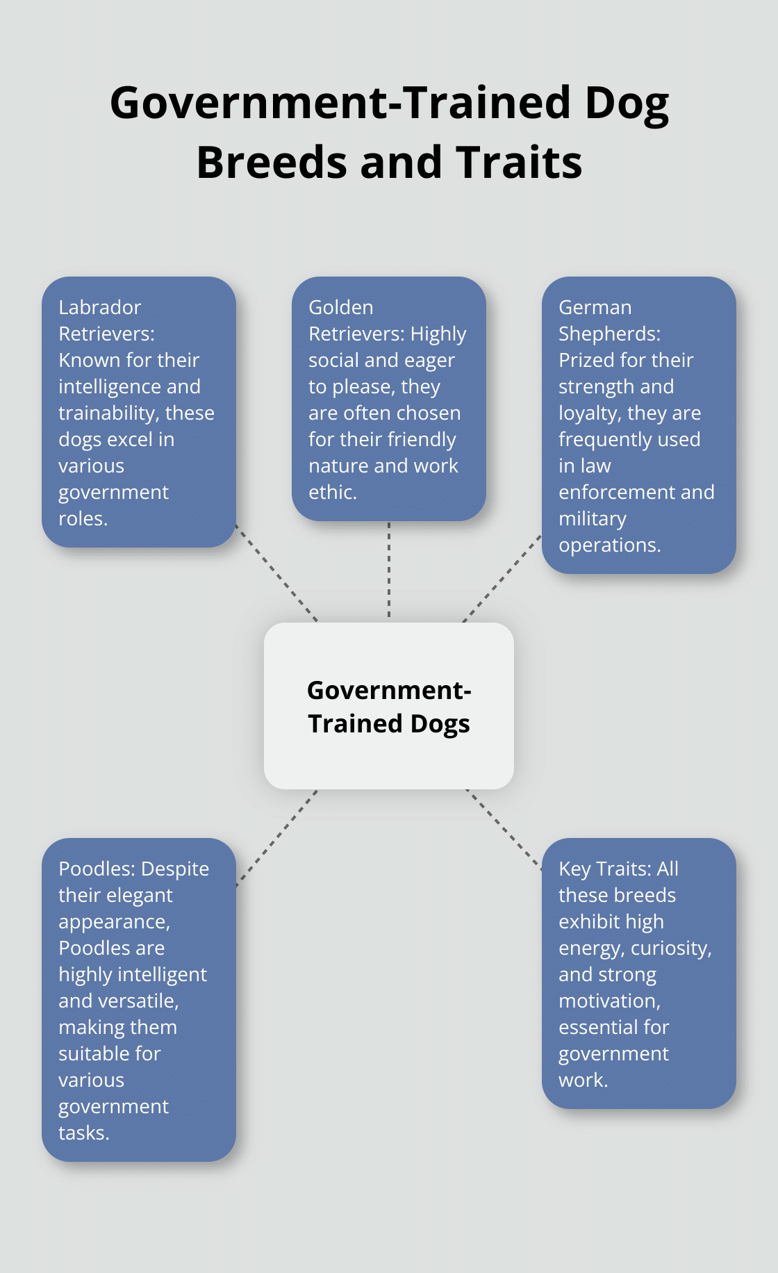 How to Adopt Dogs That Failed Government Training? – The Dogington Post