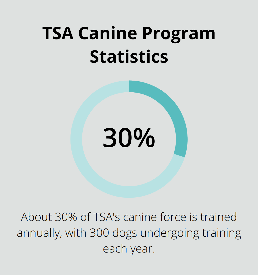 How to Adopt Dogs That Failed Government Training? – The Dogington Post