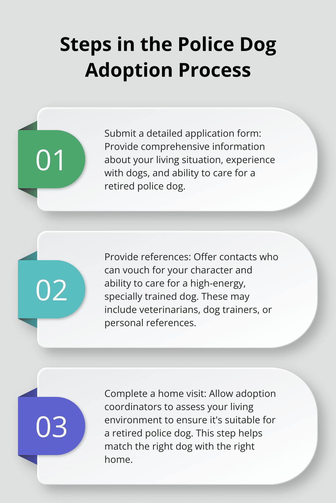 How to Adopt Retired Police Dogs: A Complete Guide – The Dogington Post