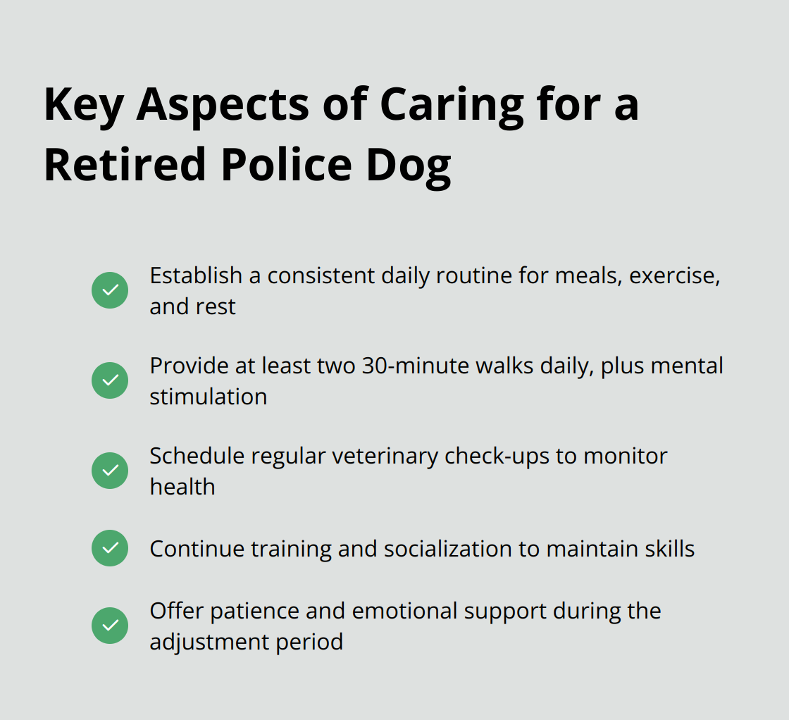 How to Adopt Retired Police Dogs: A Complete Guide – The Dogington Post