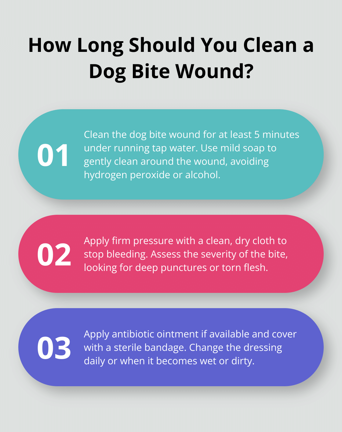 Essential Steps for Treating a Dog Bite – The Dogington Post