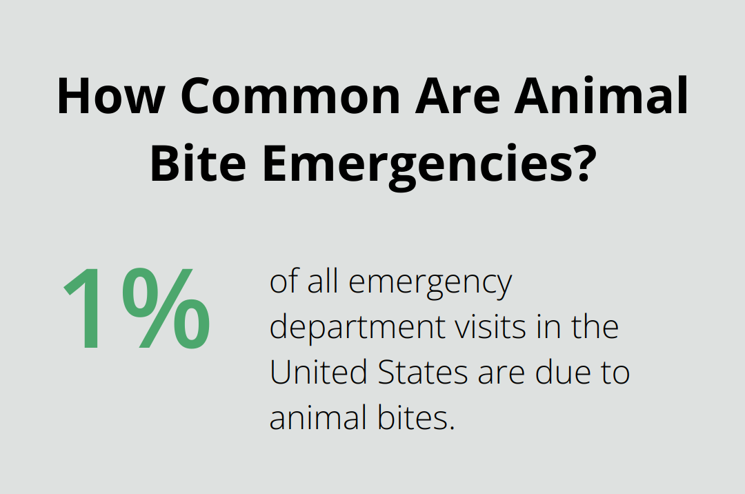 Essential Steps for Treating a Dog Bite – The Dogington Post