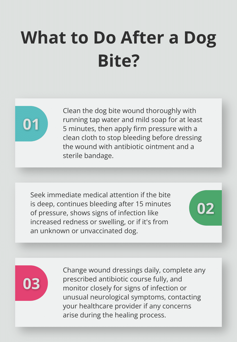 Essential Steps for Treating a Dog Bite – The Dogington Post